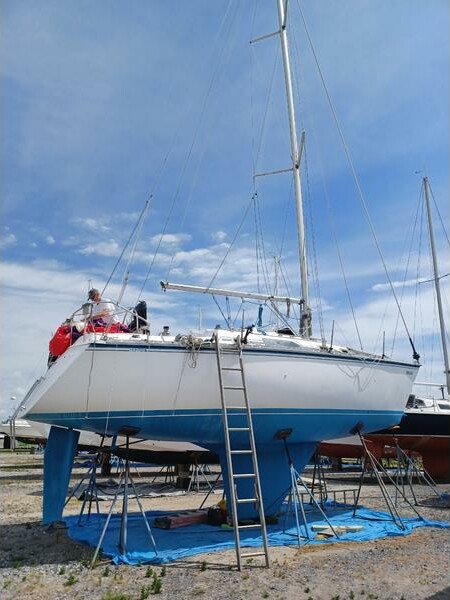 1985 Hunter 31 — For Sale — Sailboat Guide
