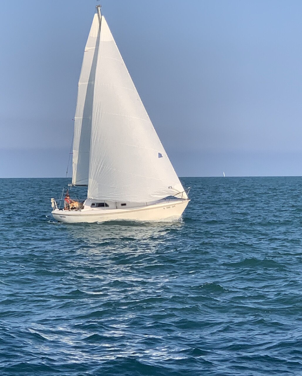 1971 Pearson P26 — For Sale — Sailboat Guide