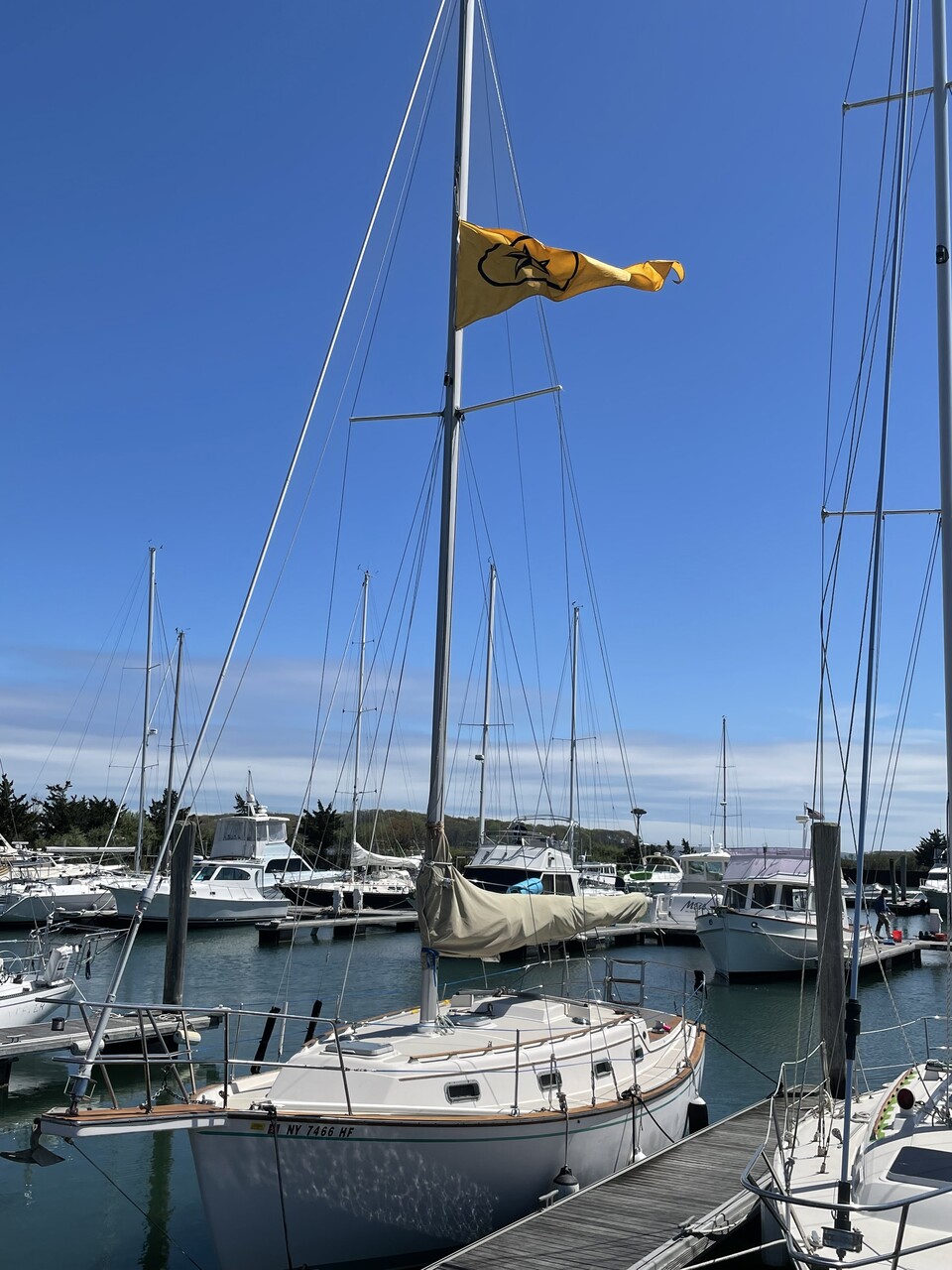 1985 Island Packet IP31 — For Sale — Sailboat Guide