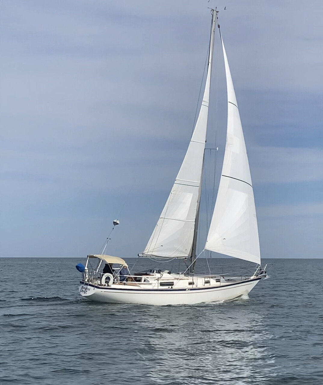 1978 Morgan 382 — For Sale — Sailboat Guide