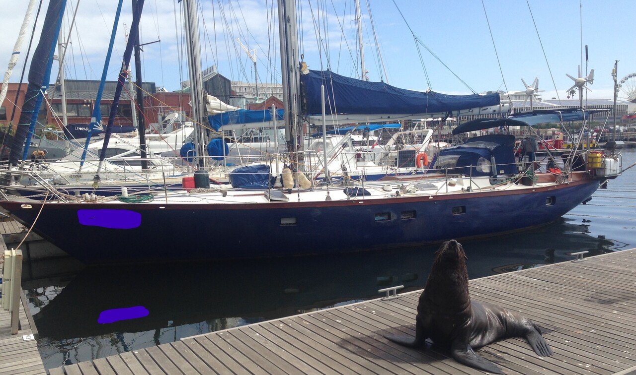 1983 Custom built Steel Sloop — For Sale — Sailboat Guide