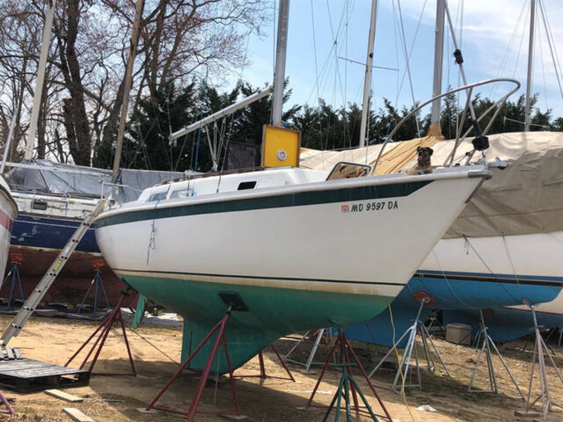 1973 Ericson Sloop — For Sale — Sailboat Guide