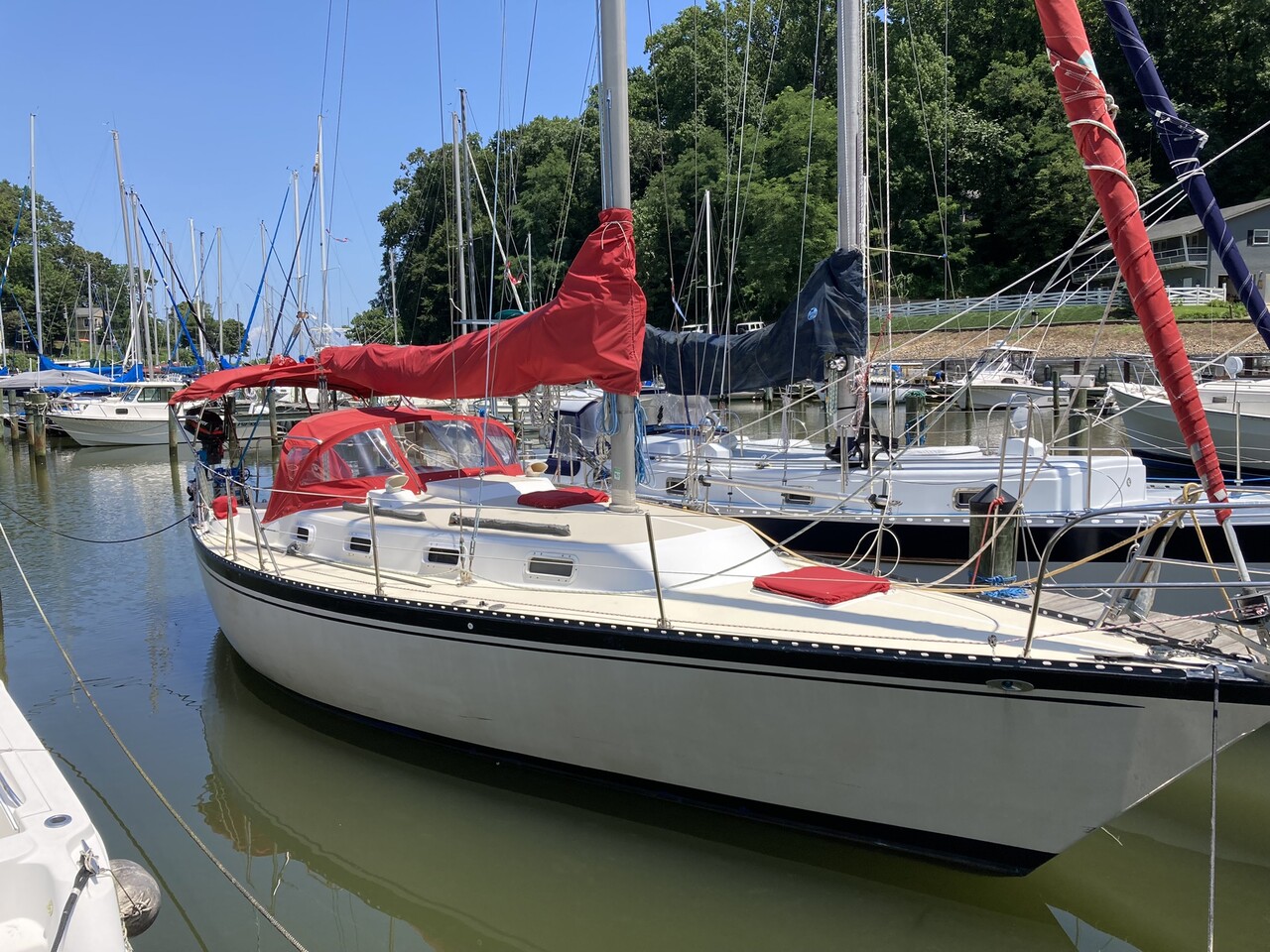 1981 Tartan T33 — For Sale — Sailboat Guide